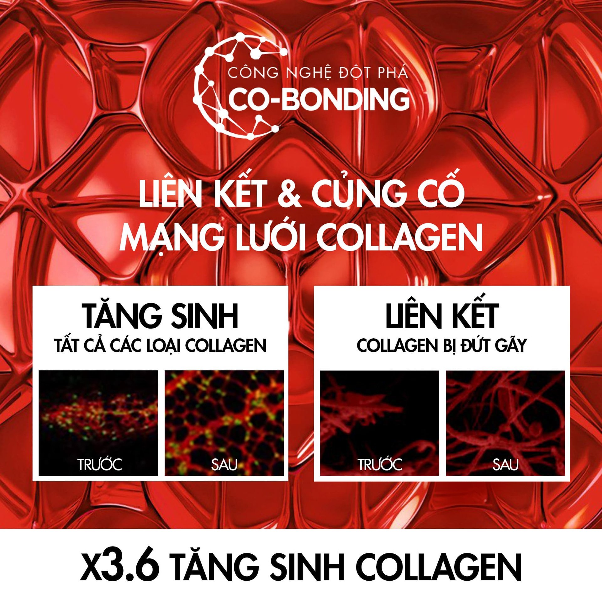 Serum Vichy Collagen 16 Trẻ Hoá Da, Cải Thiện 16/16 Dấu Hiệu Lão Hoá